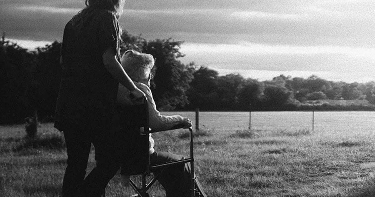 Question and Answer with Fish Insurance