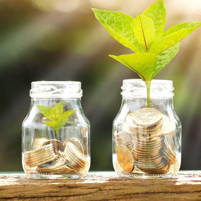 Understanding Trade Credit Insurance Premiums: What Drives Costs?