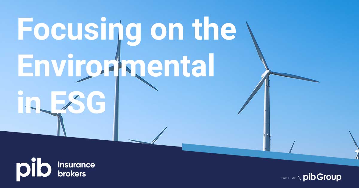 Focusing on the Environmental in ESG in food and drink industry