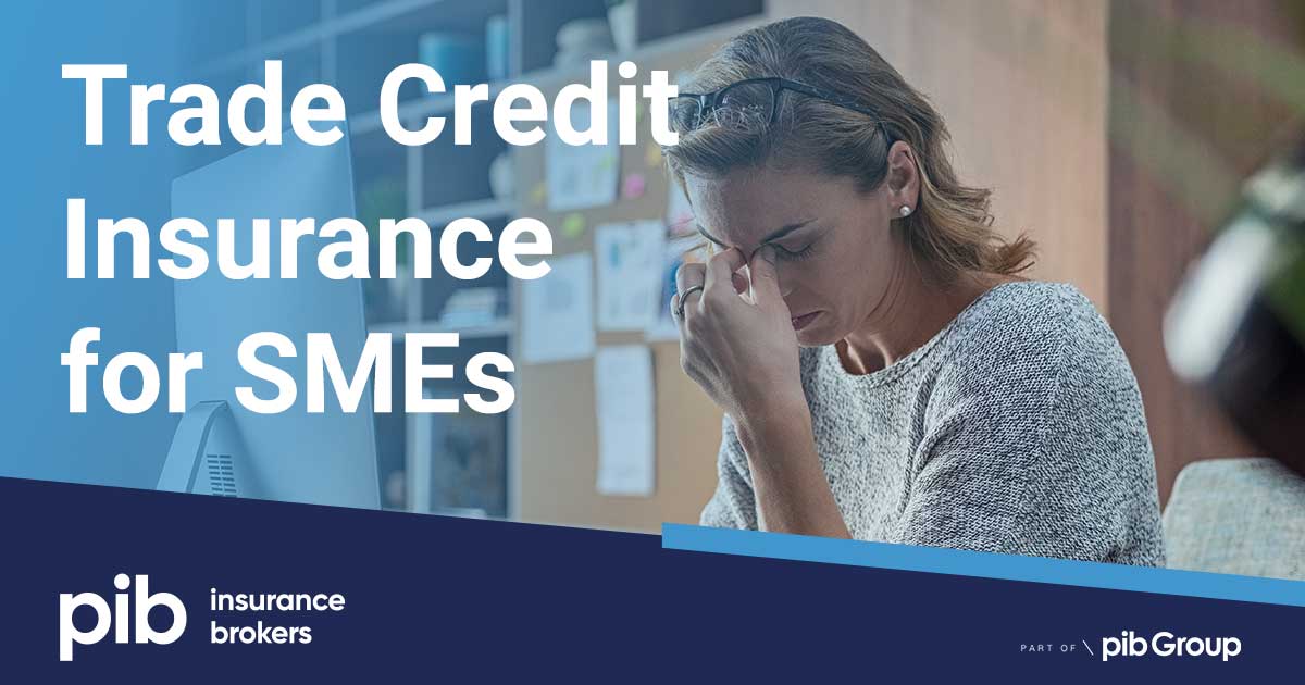 Trade Credit Insurance for SMEs – What You Need to Know