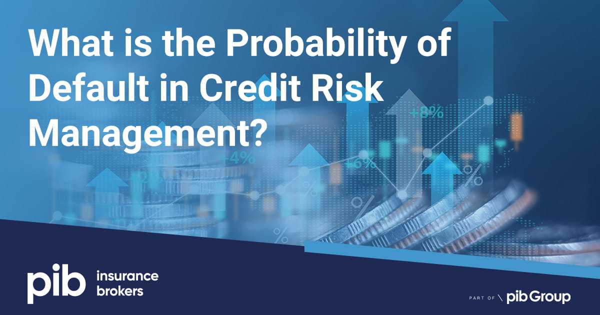 What is the Probability of Default in Credit Risk Management?