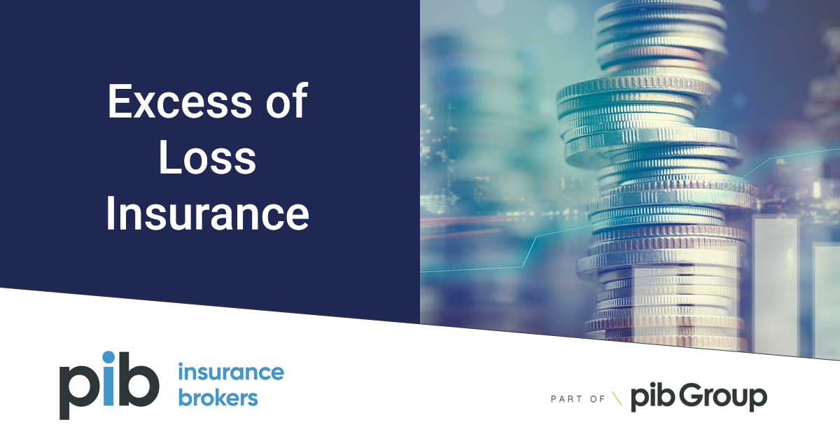 Excess of Loss Insurance